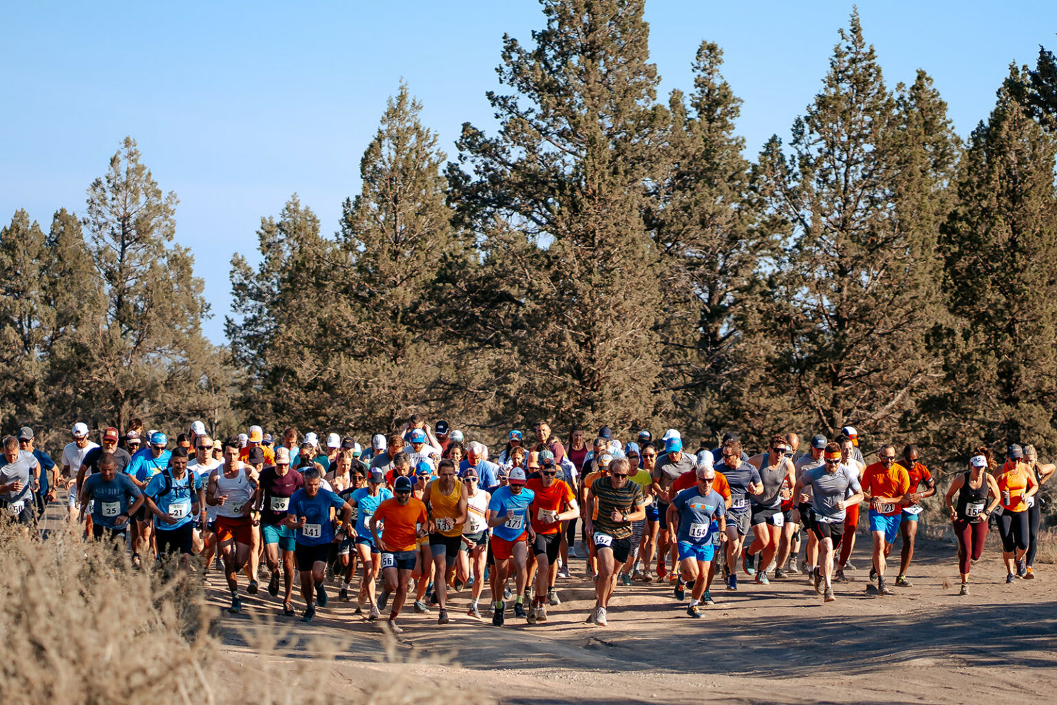Trail Races in Oregon and Washington - Go Beyond Racing