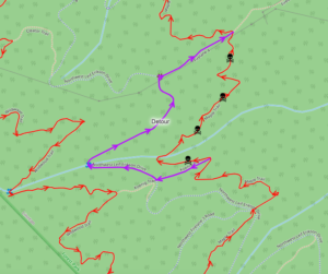 50K Course | Go Beyond Racing