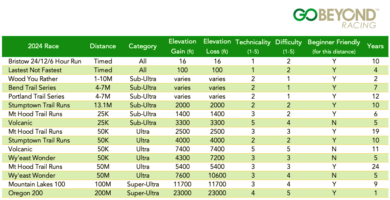 Go Beyond 2024 Race Comparison | Go Beyond Racing