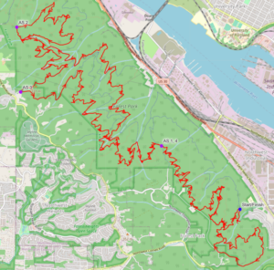 50K Course - Go Beyond Racing