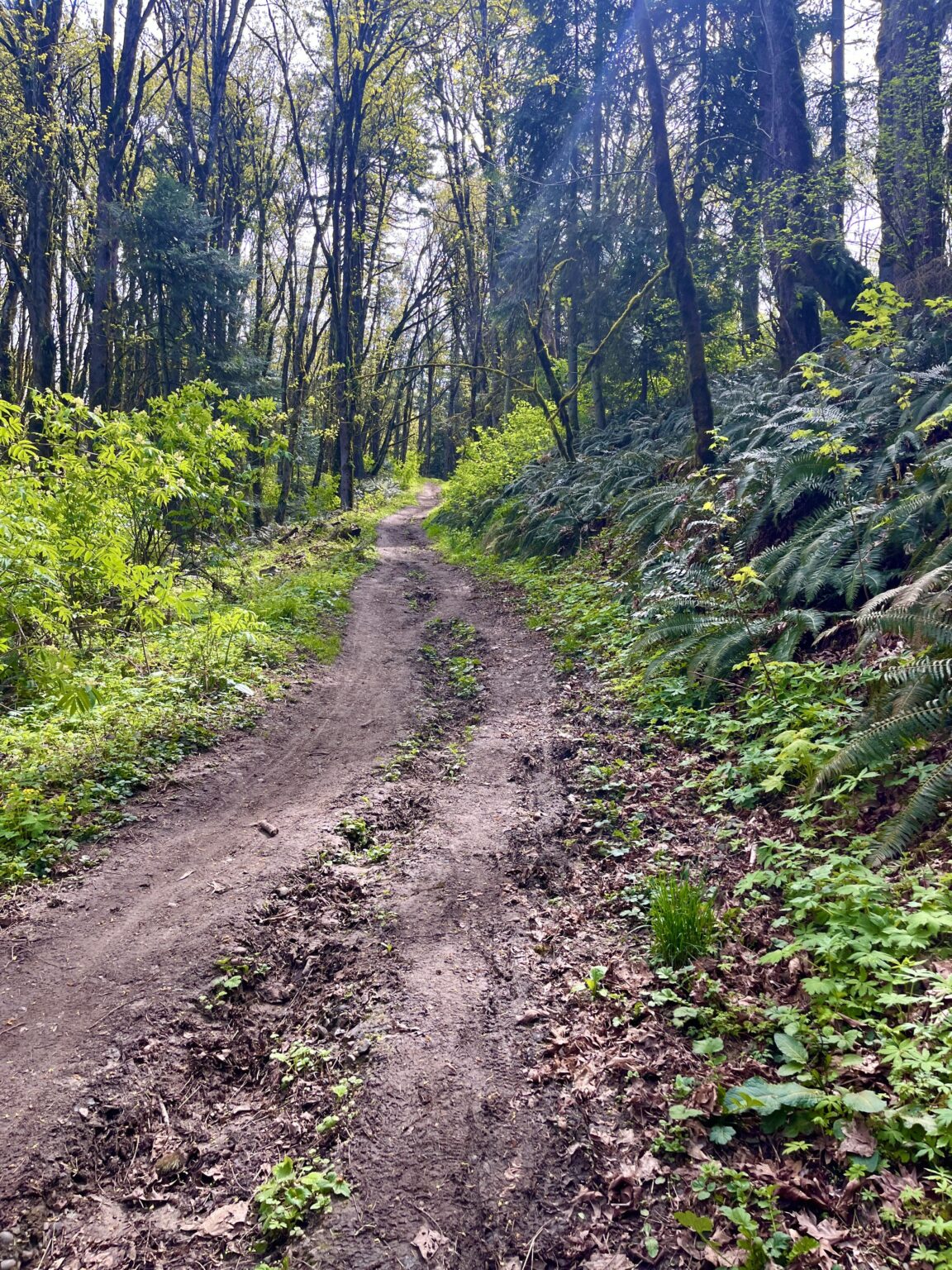 Firelane Trail Trial | Go Beyond Racing