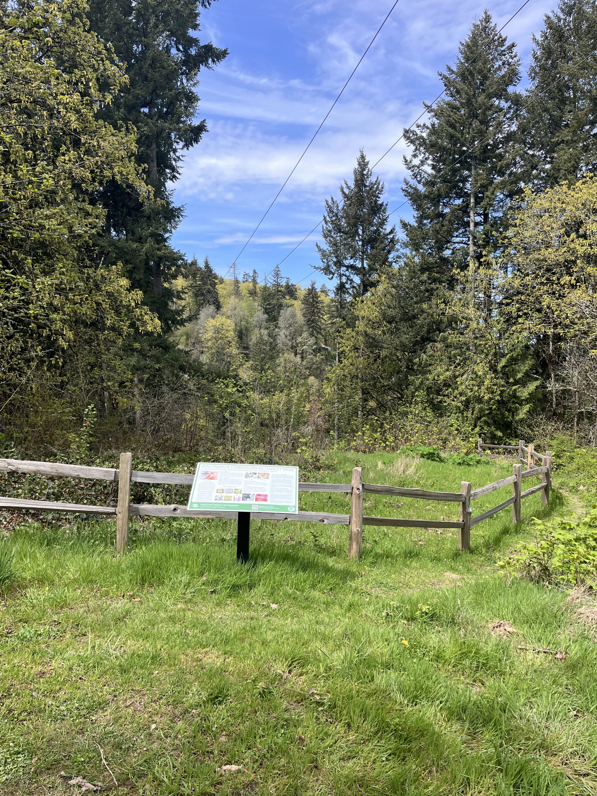 Firelane Trail Trial | Go Beyond Racing